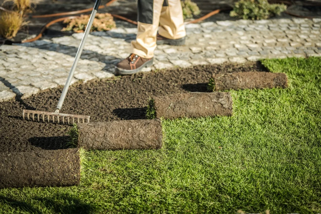 Sod Installation | KHS Landscape Professionals | Kelowna